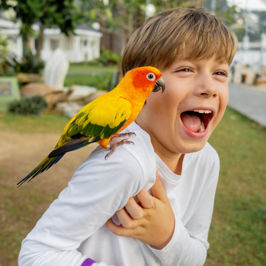 Univet Hayvan Hastanesi